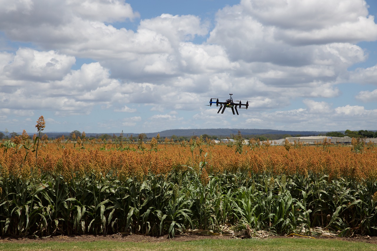 6 Digi-Skills für die moderne Landwirtschaft - Isabell's EdTech Insights